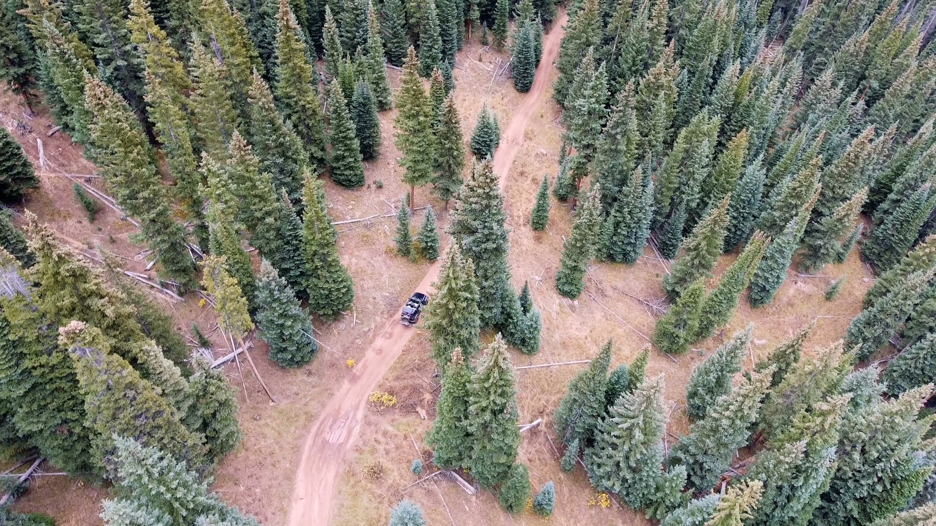 Aerial of Jeep Wrangler Off Roading Through Forest 4k Royalty Free ...