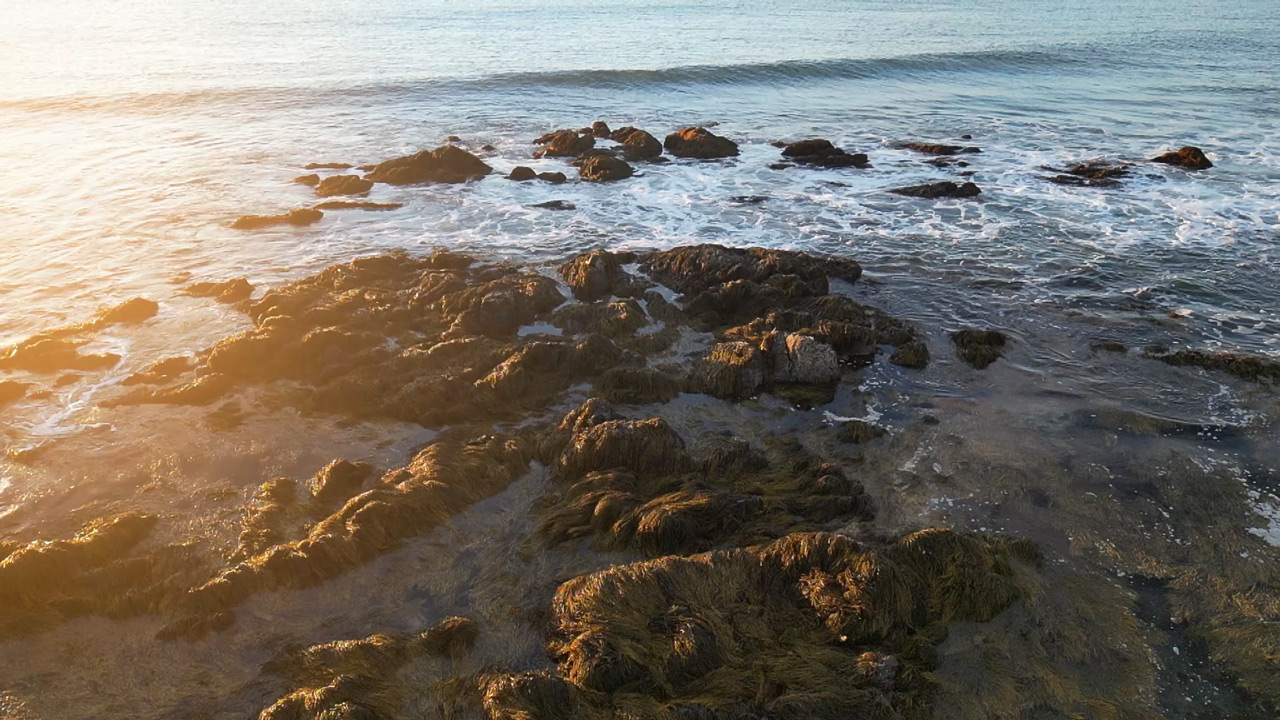 Rocky Beach Coast Royalty Free Stock Video